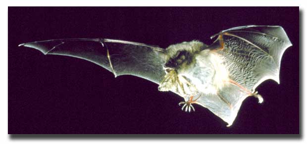 April « 2014 « paleoaerie