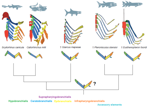 April « 2014 « paleoaerie