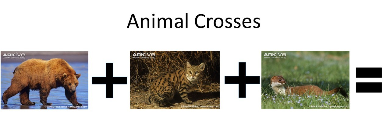 animal crosses « paleoaerie