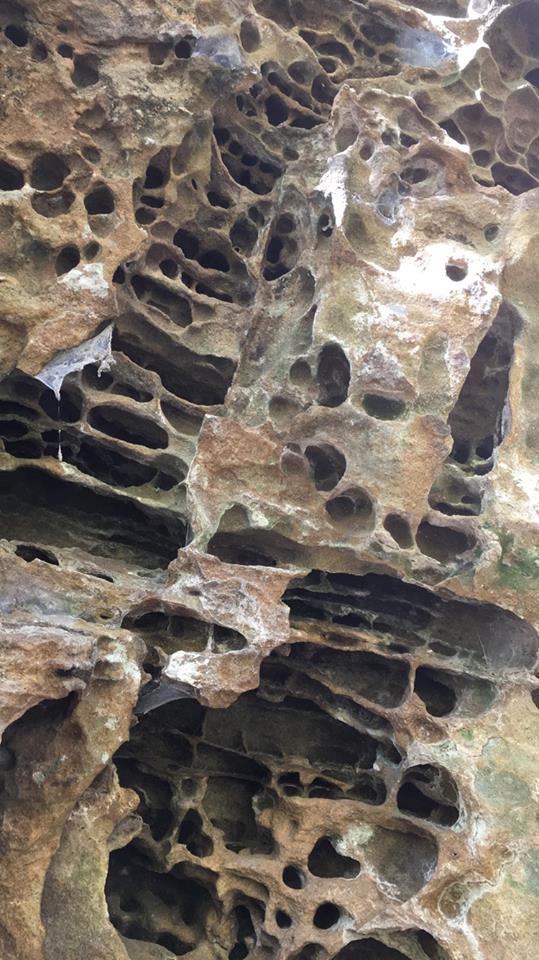 Buffalo National River: Boone Formation « paleoaerie